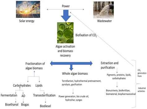 Implementation And Optimization Of Algal Biomass In Value Added Products Recovery A Step