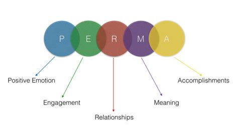 Perma Positive Psychology Perma The Wellbeing Model Of Positive