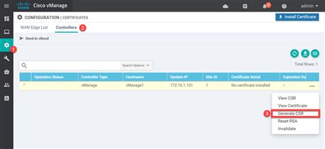 Cisco Sd Wan Controllers Installation