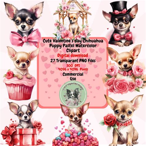 Cute Valentines Day Chihuahua Puppy Pastel Watercolor Clipart Png Set 27 Holiday Sublimation