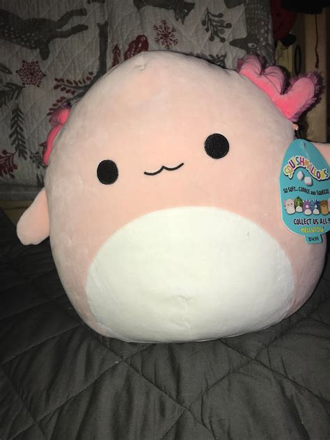 Cute Axolotl Plushy Link In Comments Axolotls