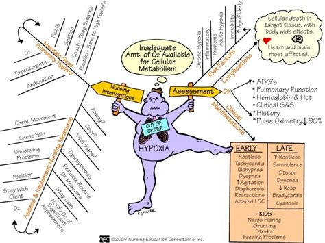 oxygenation nursing concept map images and photos finder