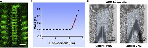 Cell Press STAR Protocols