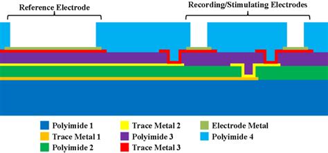 schematic of the final electrode array cross section both the