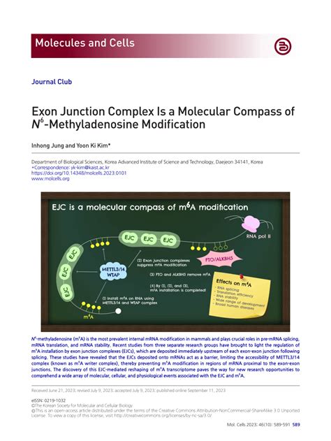 Pdf Exon Junction Complex Is A Molecular Compass Of N6 Methyladenosine Modification