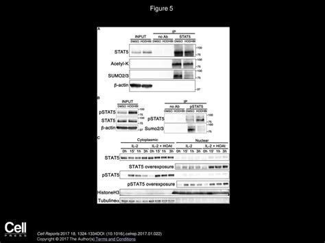 Volume 18 Issue 5 Pages January 2017 Ppt Download