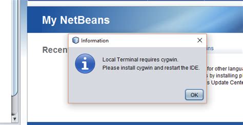 Nodejs Netbeans Using Terminal Window Stack Overflow