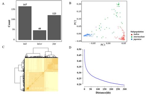 Population Genetic Analyses And Polymorphic Snps A Distribution Of Download Scientific
