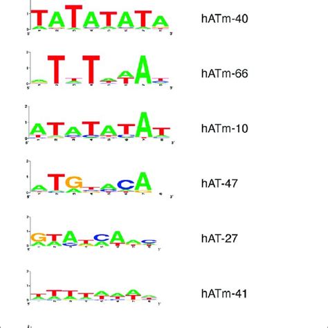 Predicted Target Site Preference Of Transposable Elements A Download Scientific Diagram