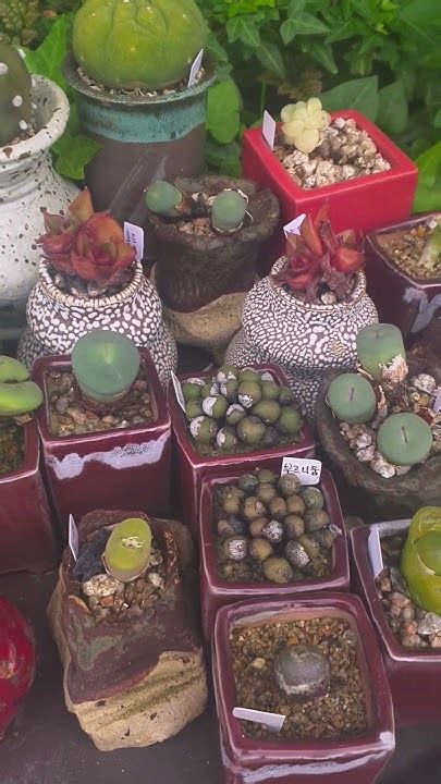 내 삶의 이유 있음은 김용빈 Youtube