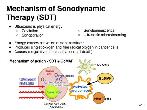 Ppt Case Report A Breast Cancer Patient Treated With Gcmaf