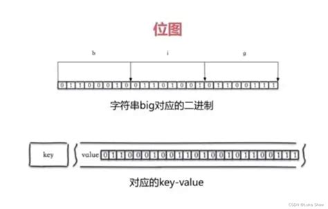 一分钟成为签到达人！redis Bitmap轻松解决，spring Boot带你飞bitmap实现打卡怎么存到数据库 Csdn博客