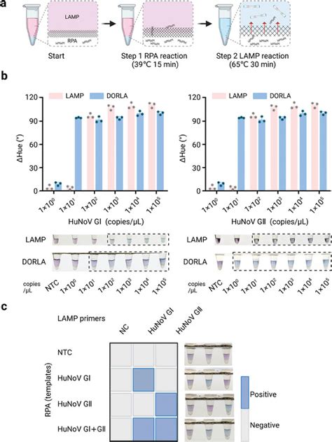 Fully Integrated Microfluidic Platform For Multiplexed Detection Of Hunov By A Dynamic Confined