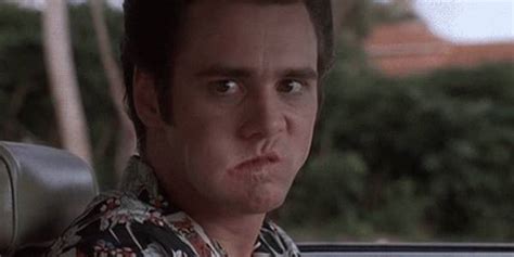 When They Tell Me That The Bug I Thought Was Fixed Is Still There The Coding Love Programmer