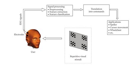 Bci Using Steady State Visual Evoked Potentials Sapien Labs Shaping