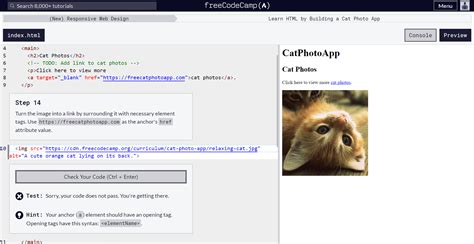 I Am Struck Here At This Step 14 Html Css The Freecodecamp Forum