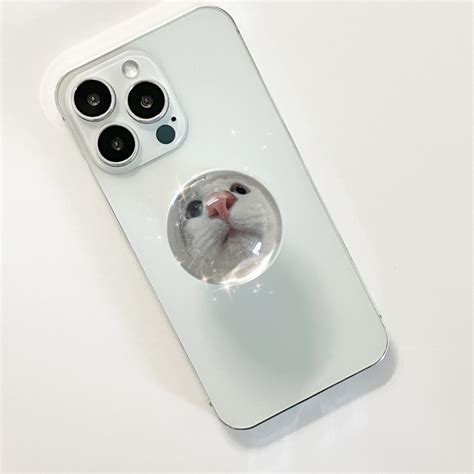 비애티튜드 오잉 고양이 강아지 레진 포토 투명 반구 그립톡 주문 제작 위시버킷