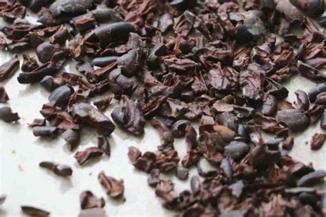 The Ultimate Superfood Cacao Powder Vs Nibs My Nutrigene