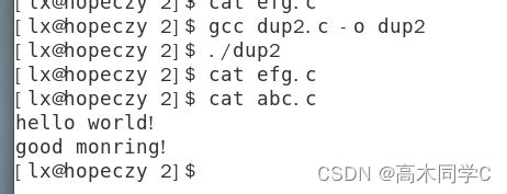 Linux系统编程dup 重定向函数 linux dup CSDN博客