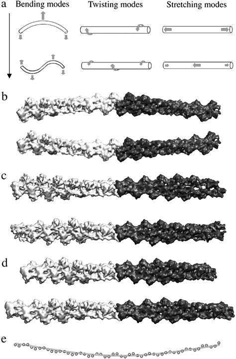 Substructure Synthesis Method For Simulating Large Molecular Complexes