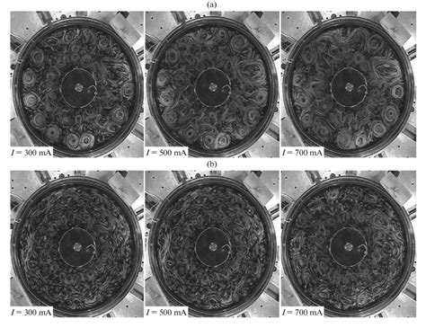 particle trajectories for basic small scale vortex motions generated by