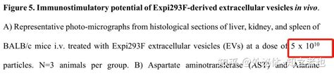 外泌体研究实验剂量建议 An Echobioech Position Article 知乎
