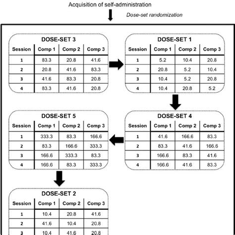 Schematic Of Experimental Design Example Of Dose Set And Dose Download Scientific Diagram