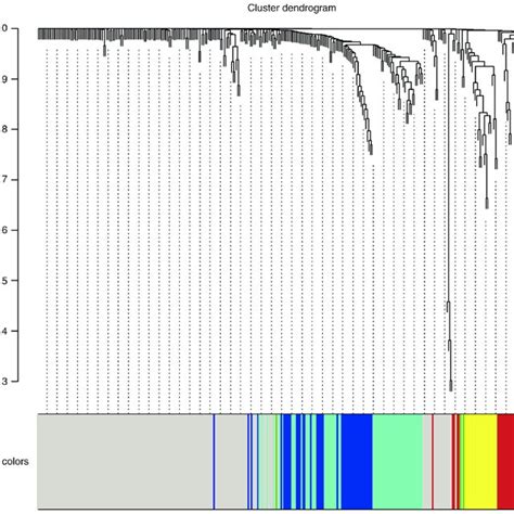clustering dendrograms of genes with dissimilarity based on