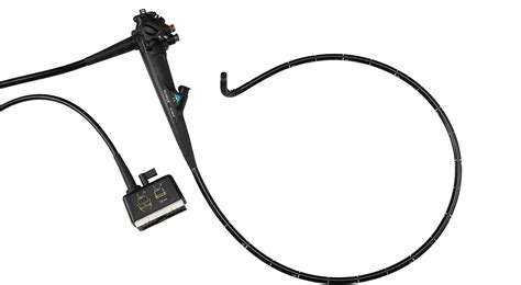 Interventional Eus Scopes Fujifilm Healthcare Solutions