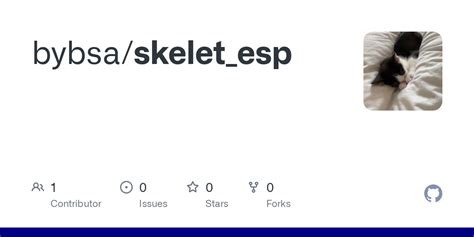 GitHub Bybsa Skelet Esp