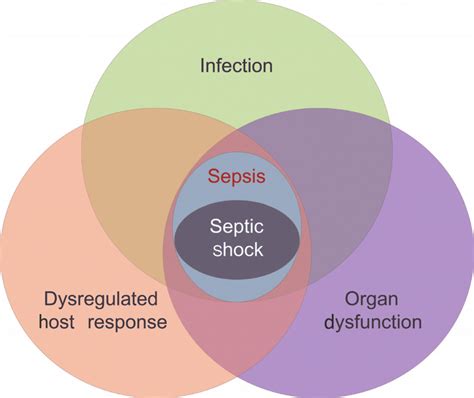 The Third International Consensus Definitions For Sepsis And Septic Download Scientific Diagram