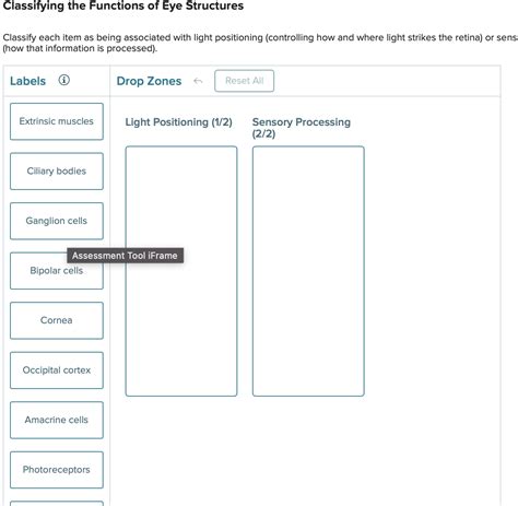 solved classifying the functions of eye structuresclassify
