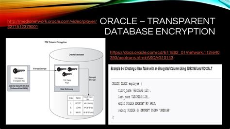 database security authorization and encryption ppt download