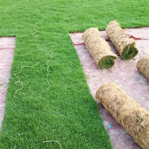 Different Available Green Grass Carpet At Best Price In Kolkata