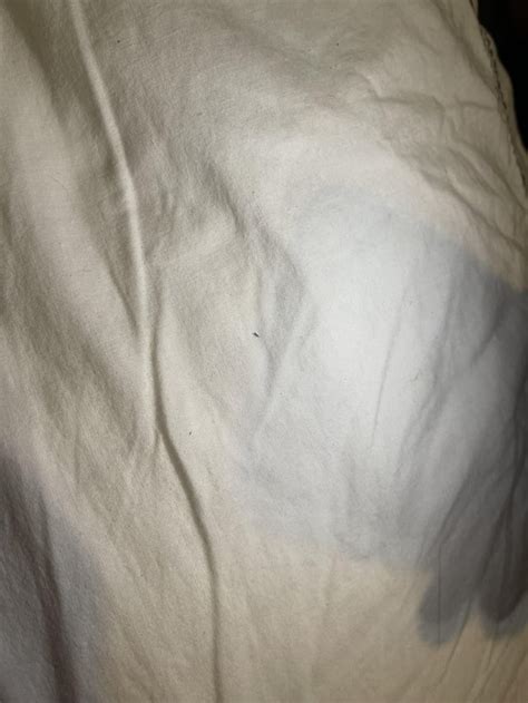 Not Sure If Possible Based On This Picture But Can Anyone Identify