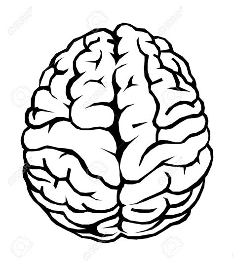 Brain Cartoon Drawing At Getdrawings Free Download
