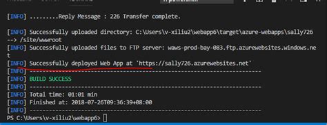 Output Message Not Clear When Set DeploymentType To NONE In Web App Plugin Issue