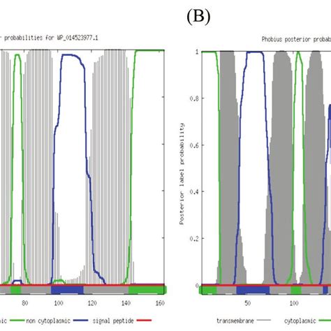 Representative Topography Of Essential And Non Host Homologous Proteins