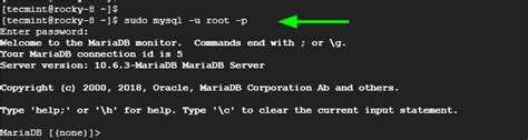 How To Install MariaDB On Rocky Linux And AlmaLinux