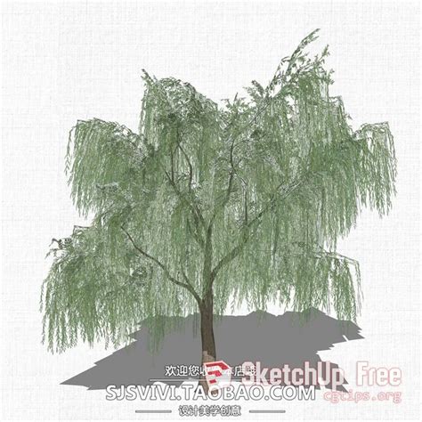 827 Tree Sketchup Model Free Download Sketchup Model Tree Silhouette Model