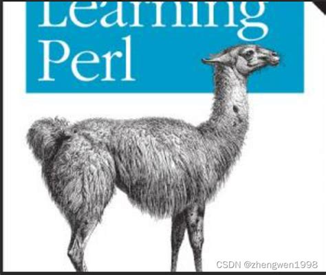 perl脚本：字符串操作、数组反转与名称匹配 csdn博客