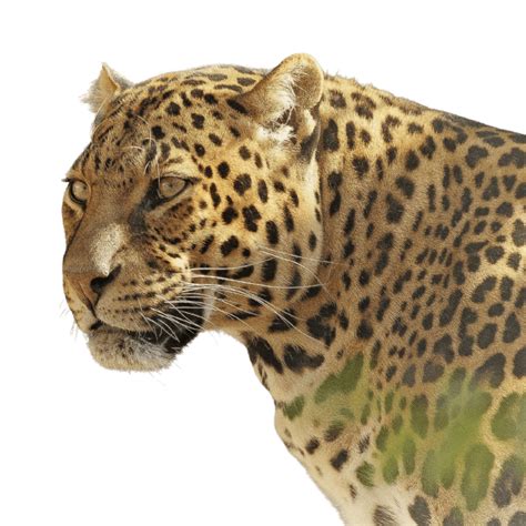 Use Cases Spiderweb Labs