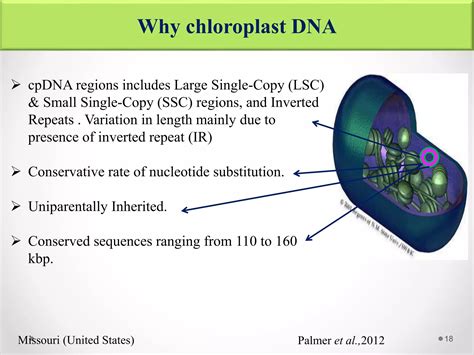 Dna Barcoding And Its Application In Species Identification Pptx