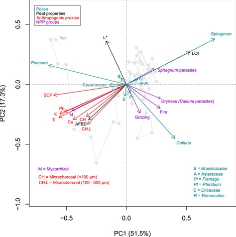 pca correlation biplot species scaling for pollen data with