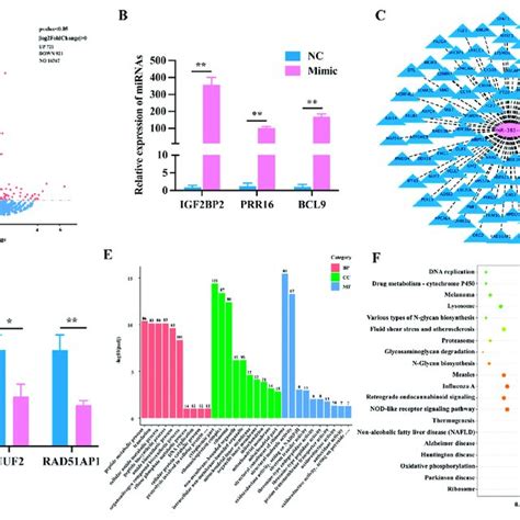 analysis of differentially expressed genes a the volcano plot was