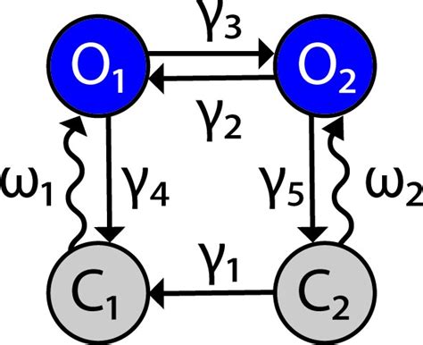 Predictions And Experimental Tests Of A New Biophysical Model Of The Mammalian Respiratory