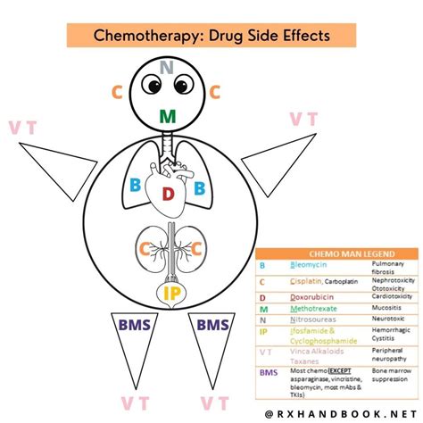 Chemotherapy Review Cards Rxhandbook