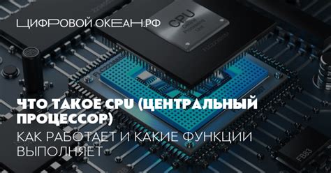 Центральный процессор Cpu что это как работает основные характеристики