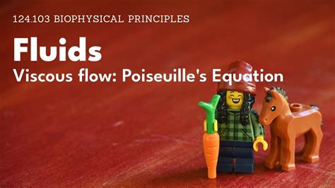 Viscous Flow Poiseuilles Equation Youtube