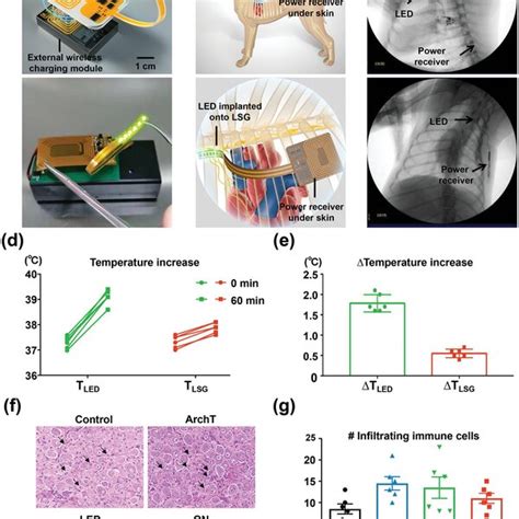 Liping Zhou Peking University Beijing Pku Research Profile